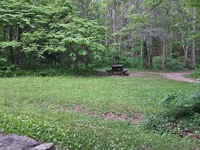 Spacious picnic areas let you extend your visit beyond hiking, because nature appreciation works up an appetite.