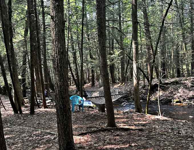 A peaceful streamside spot perfect for lunch, assuming you remembered to pack something better than a granola bar.
