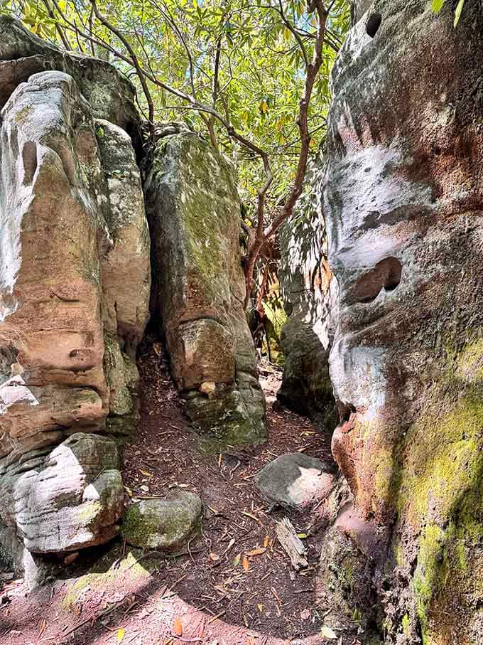 Some passages squeeze tight enough to make you suck in your gut, adding just the right amount of adventure.