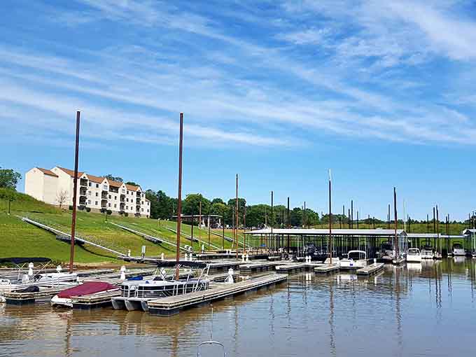 The marina cradles boats of all sizes, each one representing someone's dream of escaping onto the open water.
