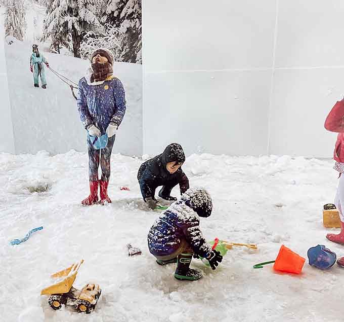 The Only Year-Round Indoor Snow Park In America Is Right Here In Texas ...