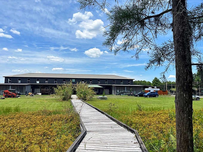 This boardwalk leads to discoveries, winding through landscapes where Florida meets Africa in the most unexpected way.