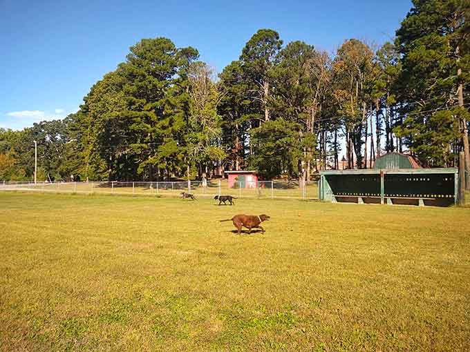 The dog park lets four-legged residents enjoy Salem's hospitality too, because good towns take care of all their citizens.