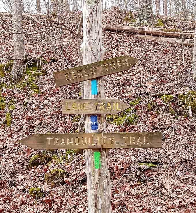 Three trails, three different adventures &ndash; pick your own journey like a choose-your-own-adventure book.