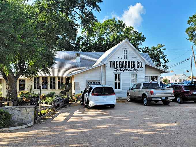The Garden Co. sits in a converted white building where plants and cafe culture merge into something unexpectedly delightful.