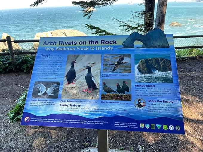 Educational markers teach you about local seabirds, because learning and beach-going aren't mutually exclusive activities here.