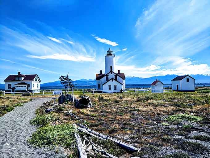 Dungeness Lighthouse marks the end of a spectacular five-mile walk through protected wilderness and solitude.
