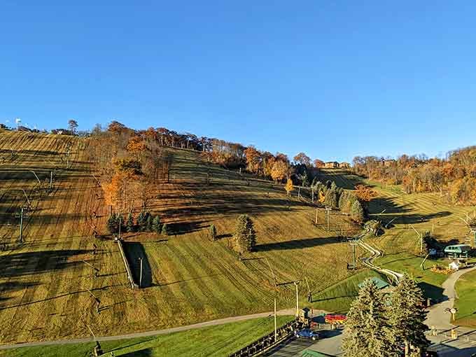 Autumn transforms the mountainside into something Bob Ross would've painted during his really good episodes.