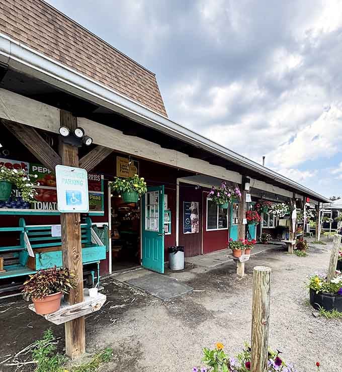 Farm market bursting with local goods and hanging baskets, the kind of place that still feels genuinely homegrown.