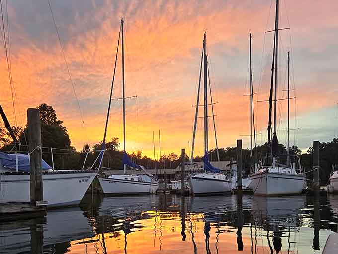 Marina sunsets where even the sailboats seem to pause and appreciate nature's nightly light show over the water.