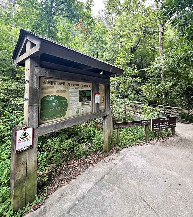 The Hemlock Nature Trail information board shares secrets about the forest that surrounds you on all sides.