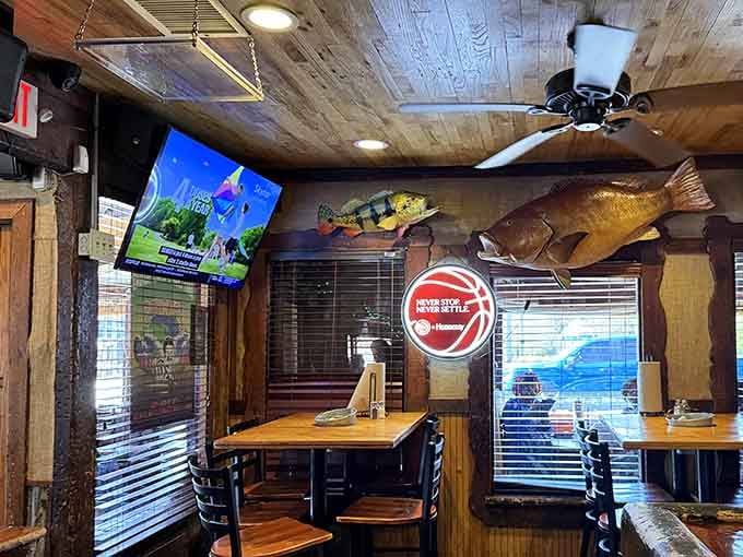 Fish mounted on walls and beach decor everywhere transport you straight to a coastal fishing village.