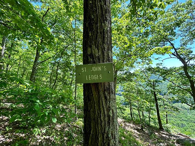 Follow the signs and white blazes, unless you enjoy unplanned wilderness adventures with search parties.