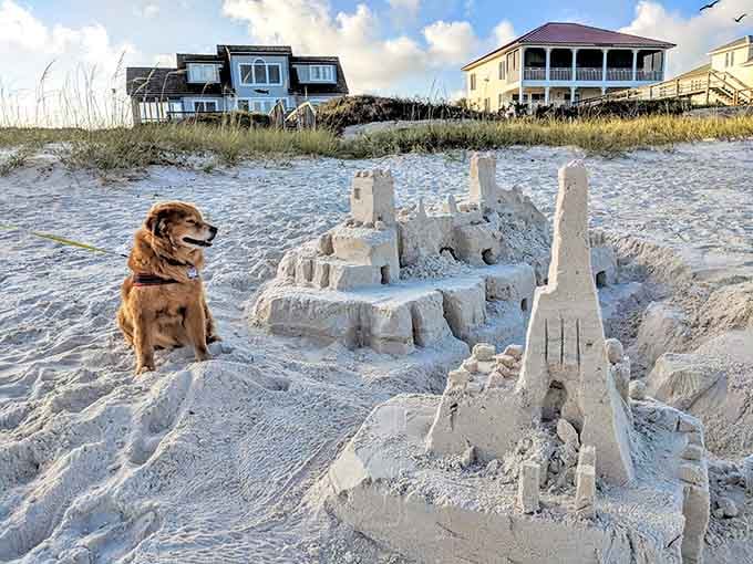 Even the dog knows this sandcastle deserves respect and possibly an architectural award.