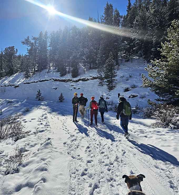 Winter hikers explore snowy trails where the only sounds are crunching boots and the occasional "wow, look at that."