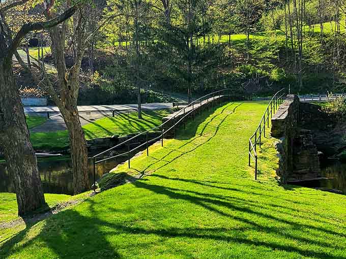 That perfect angle where the bridge, the grass, and the light all align like nature's own photography studio.