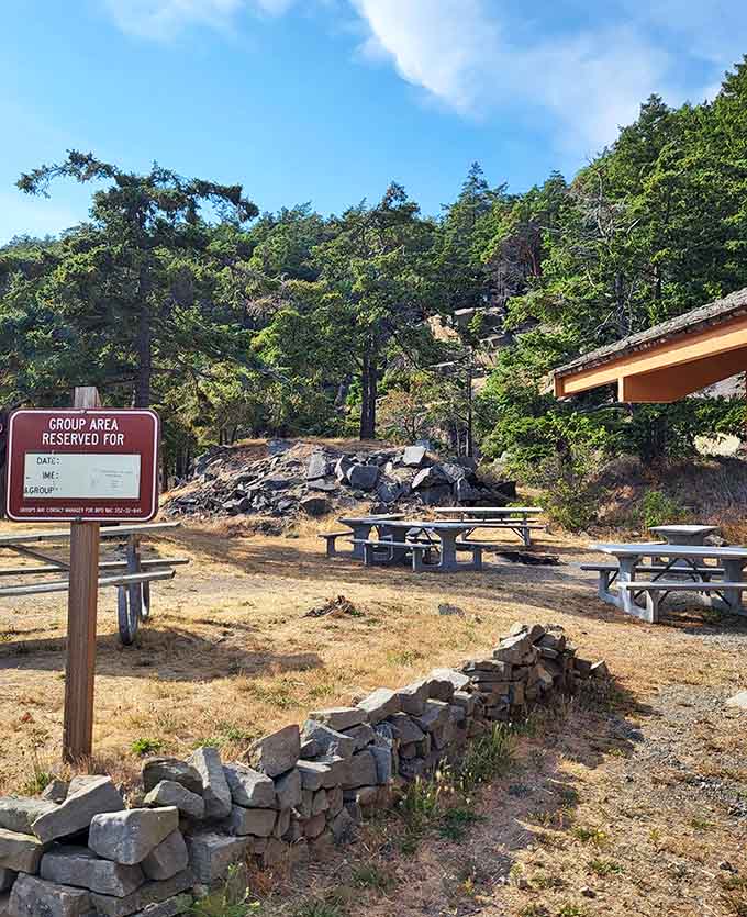 Group picnic areas offer communal fire pits where strangers become friends over s'mores and sunset watching sessions.