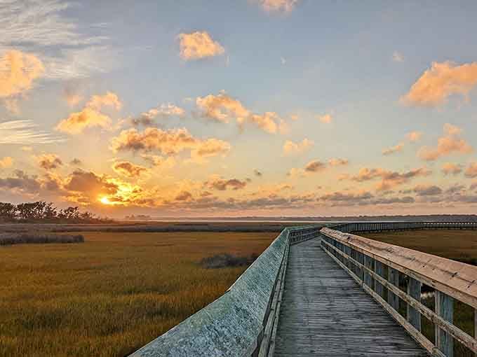 Boardwalk through the marshes at sunset, nature's way of showing off and making your phone's camera work overtime.