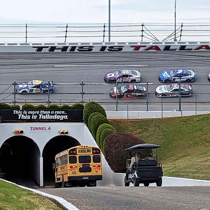 That tunnel leads to the infield, where the real party happens and RVs become temporary palaces of tailgating glory.