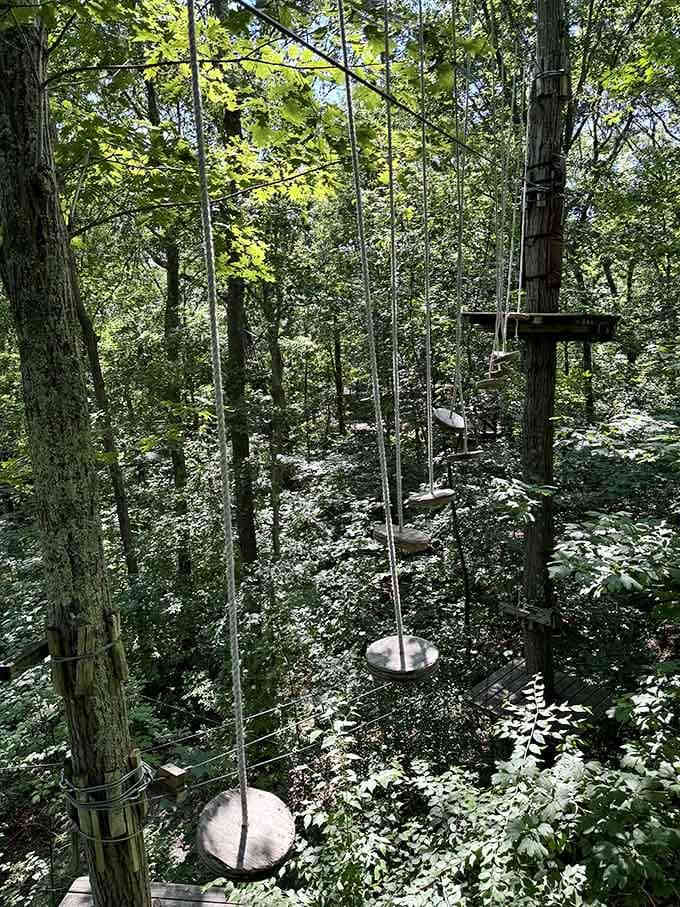 Swinging bridges suspended over nature's beauty, testing both your balance and your breakfast's commitment to staying down.