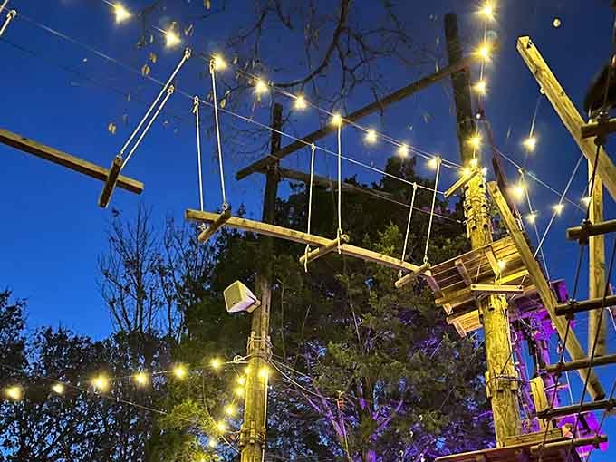 Twinkling lights transform the canopy into something straight out of a fairy tale, minus the pumpkin carriage requirement.
