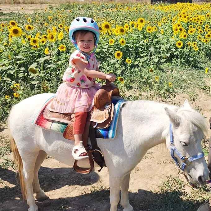 Special activities add extra charm to your visit, creating unique experiences you won't find at typical tourist attractions anywhere.