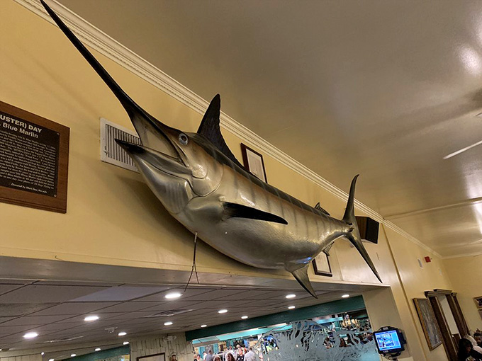 That marlin mounted on the wall has seen some serious eating go down over the years, no doubt.