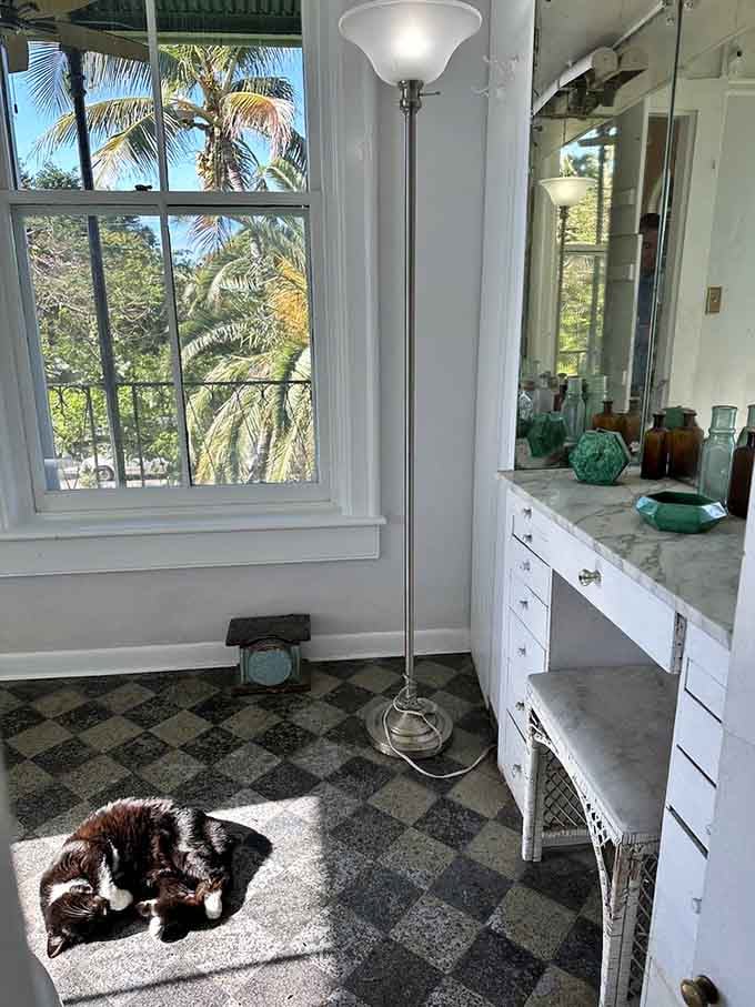 This bathroom cat has claimed the corner vanity, proving no surface is off-limits in this house.