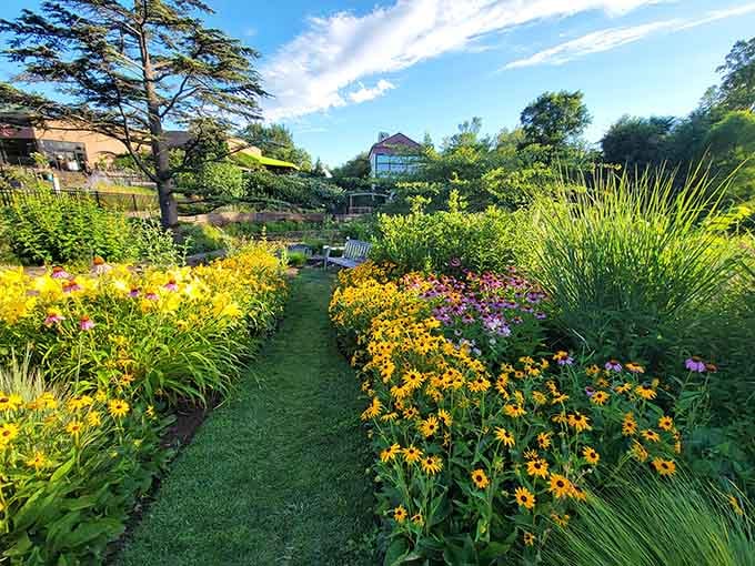 Summer blooms creating more color combinations than your favorite paint store's sample wall could dream of.