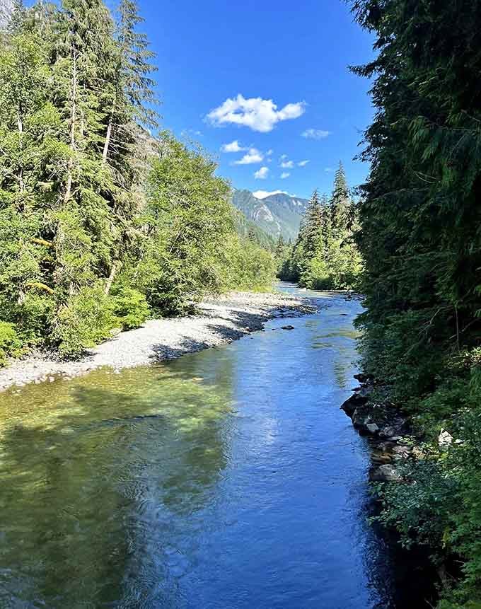 Blue skies and clear water proving that yes, the Pacific Northwest does occasionally remember what sunshine looks like.