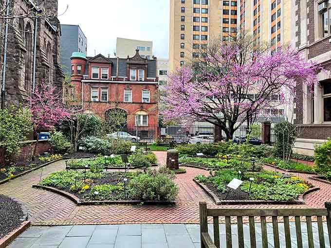 The peaceful garden outside offers a moment of zen before you venture inside to see preserved organs in jars.