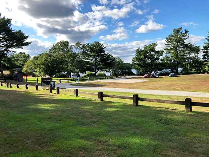 Spacious park grounds with mature trees offering shade, the perfect spot for family picnics without fighting for space.