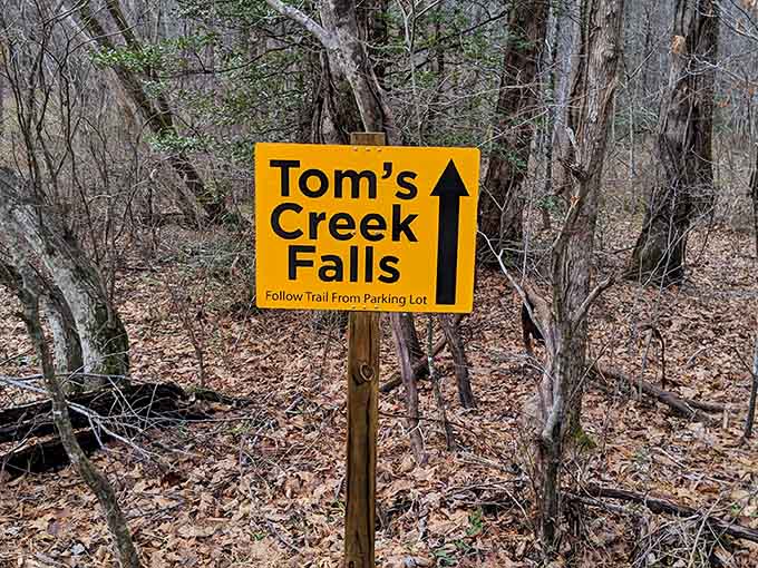 Follow the arrow to happiness, because this cheerful sign knows exactly where the good stuff is.