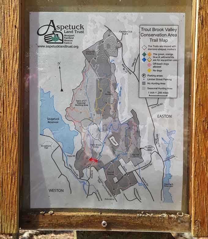 This trail map is your treasure guide to 175 acres of moss-covered rocks and peaceful paths.