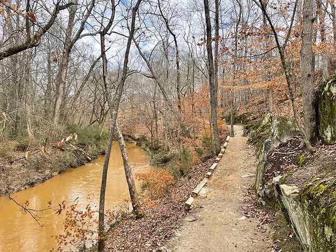 This creekside trail section offers a gentler alternative for anyone who prefers their hiking at ground level.