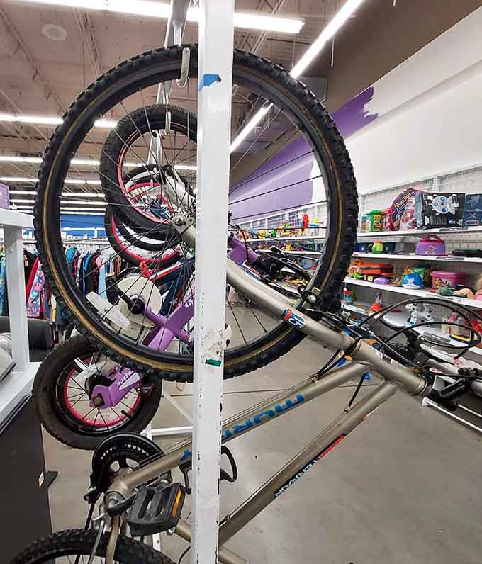 Bikes hanging around waiting for their next adventure, proving two wheels don't have to cost a fortune.