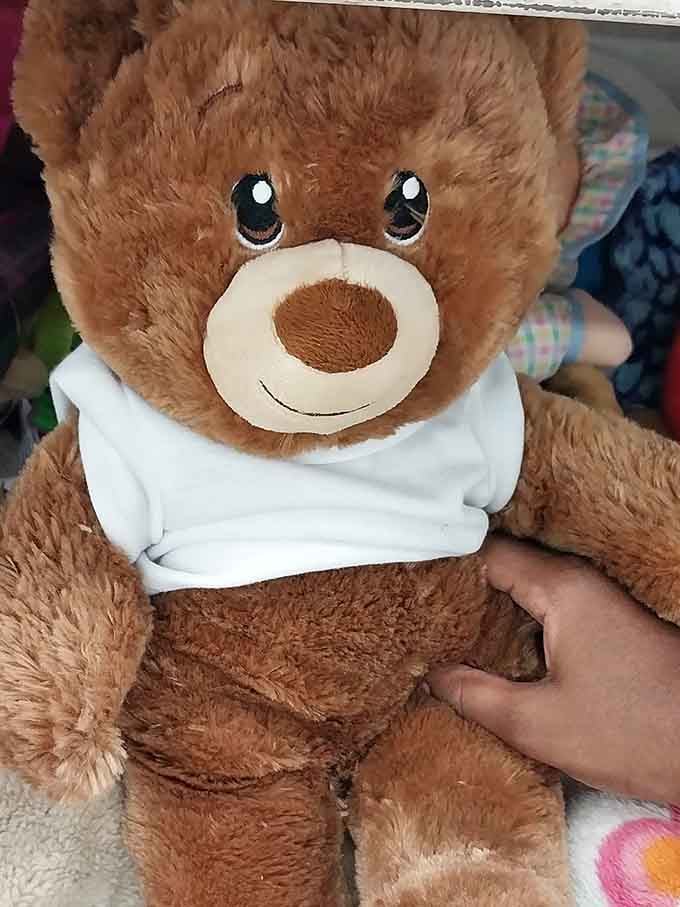 This teddy bear's smile suggests it knows something wonderful, like maybe where all the best deals are hiding.