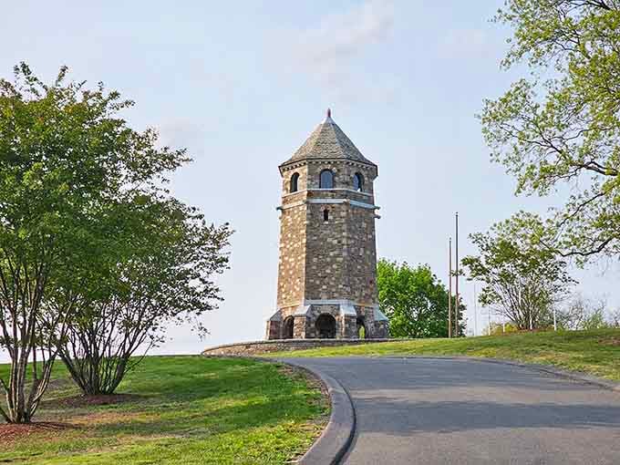 Fox Hill Tower stands sentinel over Vernon, a stone landmark that's seen more sunrises than your alarm clock.