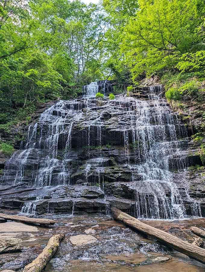 Station Cove Falls cascades down rocks like nature's own fountain show, admission price absolutely free.