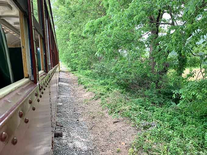 Trees brushing past the train cars, close enough to remind you this isn't a simulation or screen.