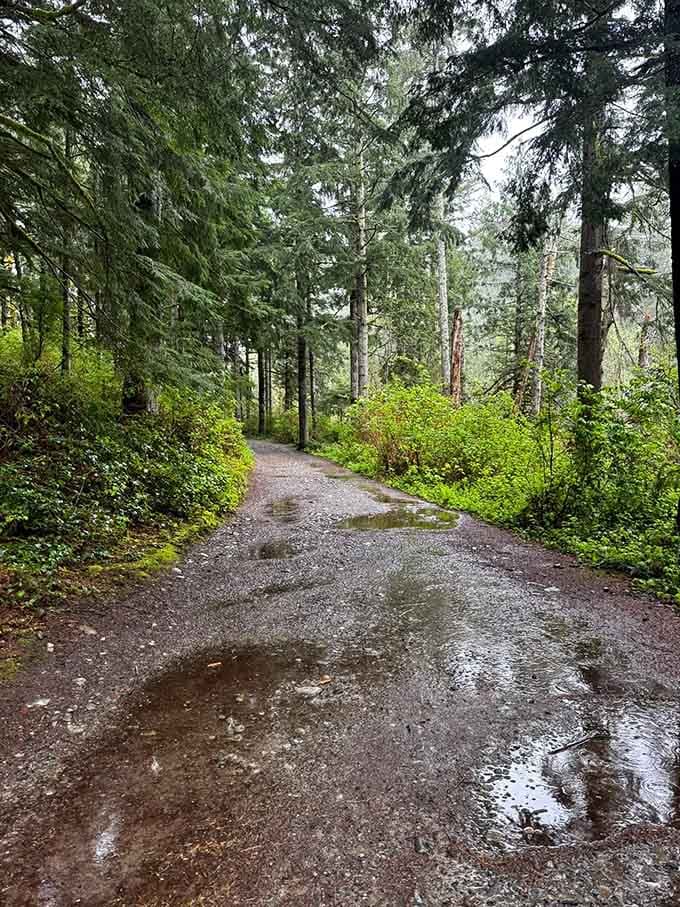 Muddy trails are just nature's way of testing your commitment and giving your hiking boots some well-earned character marks.