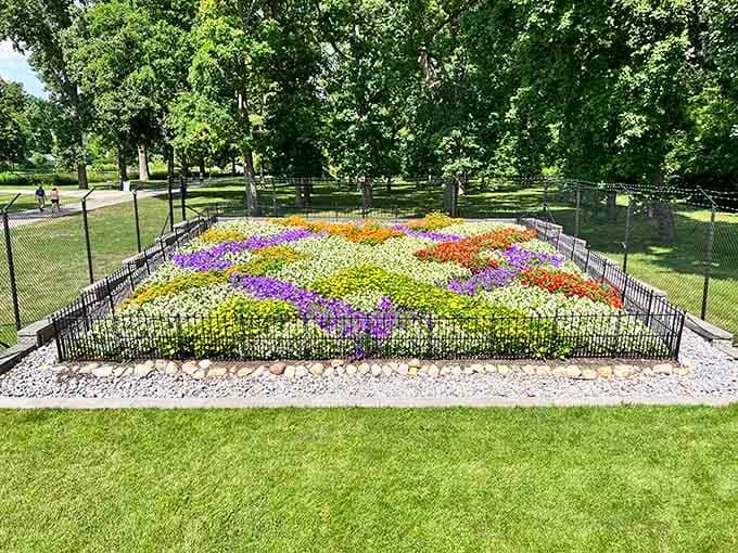 When flowers arrange themselves into a living quilt, you know someone's been paying serious attention to color theory.