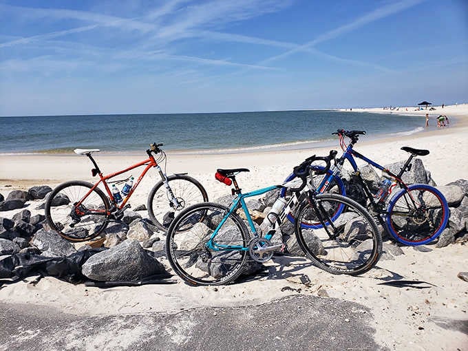 Bicycles parked on pristine sand because some adventures require two wheels and salty air.