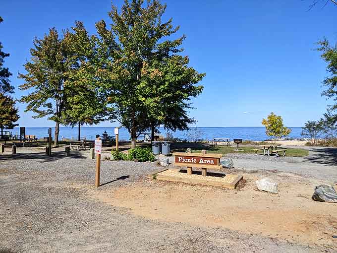 Picnic tables with million-dollar views, where lunch tastes better with the Potomac as backdrop.