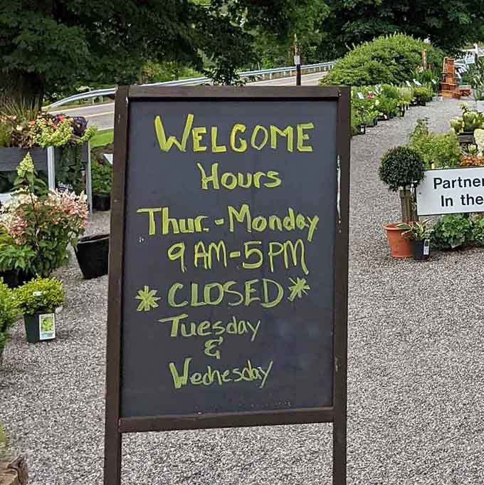 Business hours posted clearly, because even paradise needs boundaries and Tuesdays off apparently.