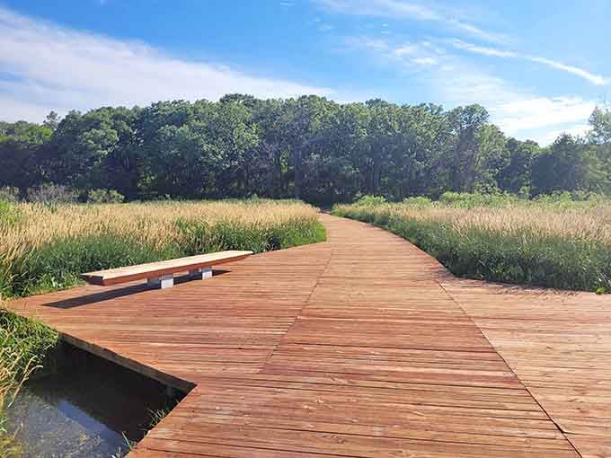 This boardwalk lets you explore the wetlands without that awkward moment of stepping in three feet of muck.