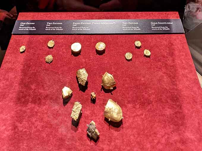 Real gold that actual pirates touched with their actual hands, still crusted with centuries of ocean life.