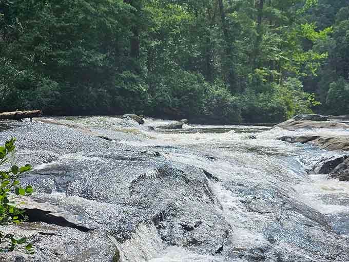 Peaceful stretches between rapids give you time to appreciate why you drove all this way.