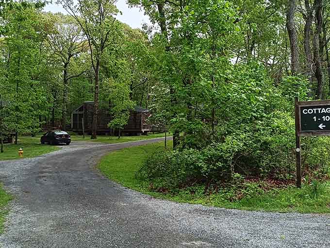 The cottage area offers that sweet spot between roughing it and actually being comfortable for more than one night.