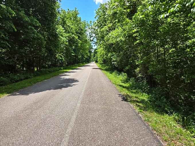 Tree-lined roads invite you to explore the battlefield at your own pace, by car or foot.